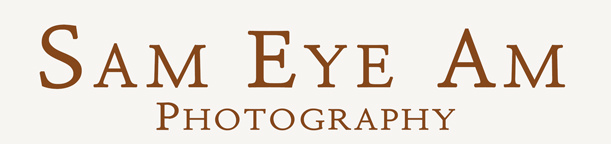 Sam Eye Am - Luxury Wedding Photographer From Amsterdam