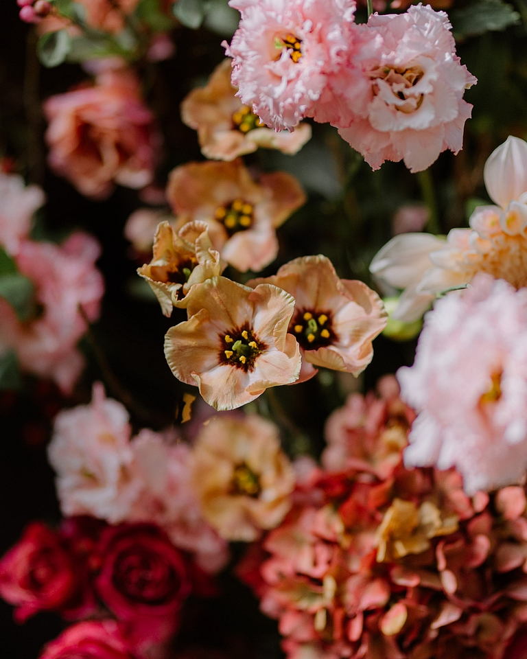 Sam Eye Am Photography - Amsterdam Based Photographer