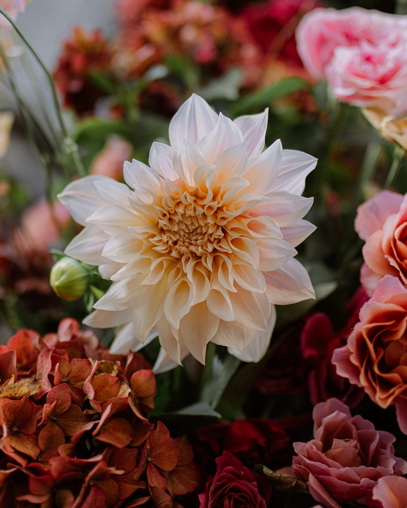 Sam Eye Am Photography - Amsterdam Based Photographer